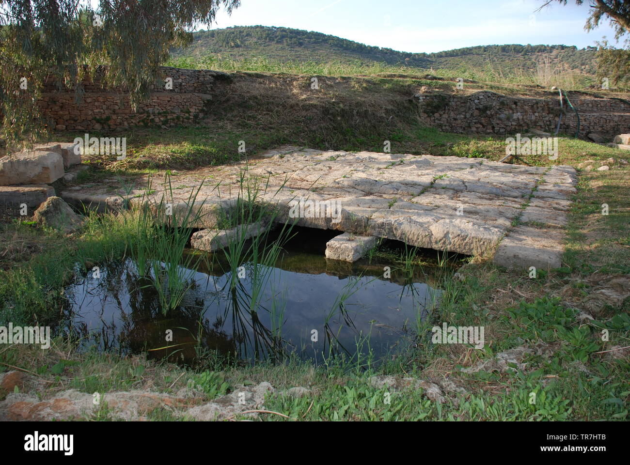 Ancient stone bridge at the ancient temple of goddess Artemis at ...