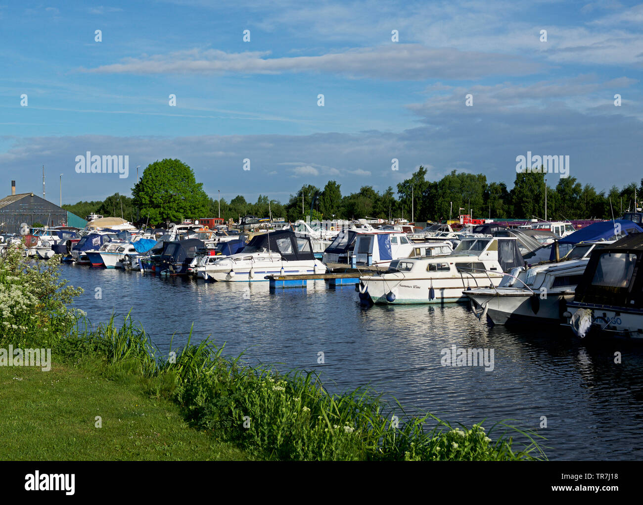 Goole hi-res stock photography and images - Alamy