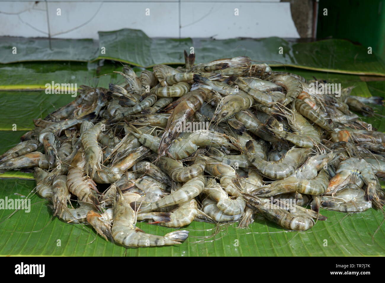Fresh shrimp at Traditional Fish Market Stock Photo - Alamy