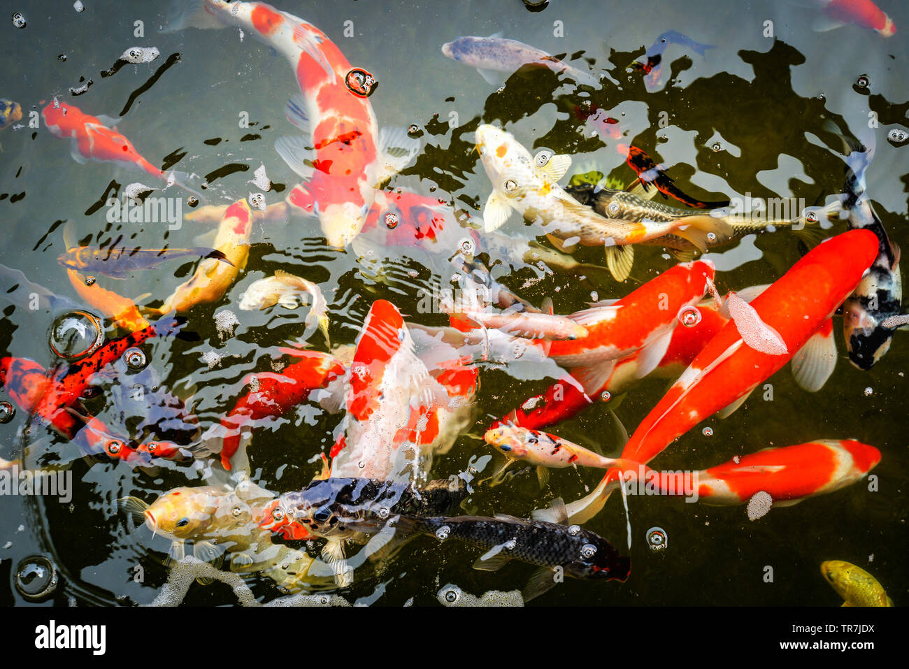 Floating garden paris hi-res stock photography and images - Alamy