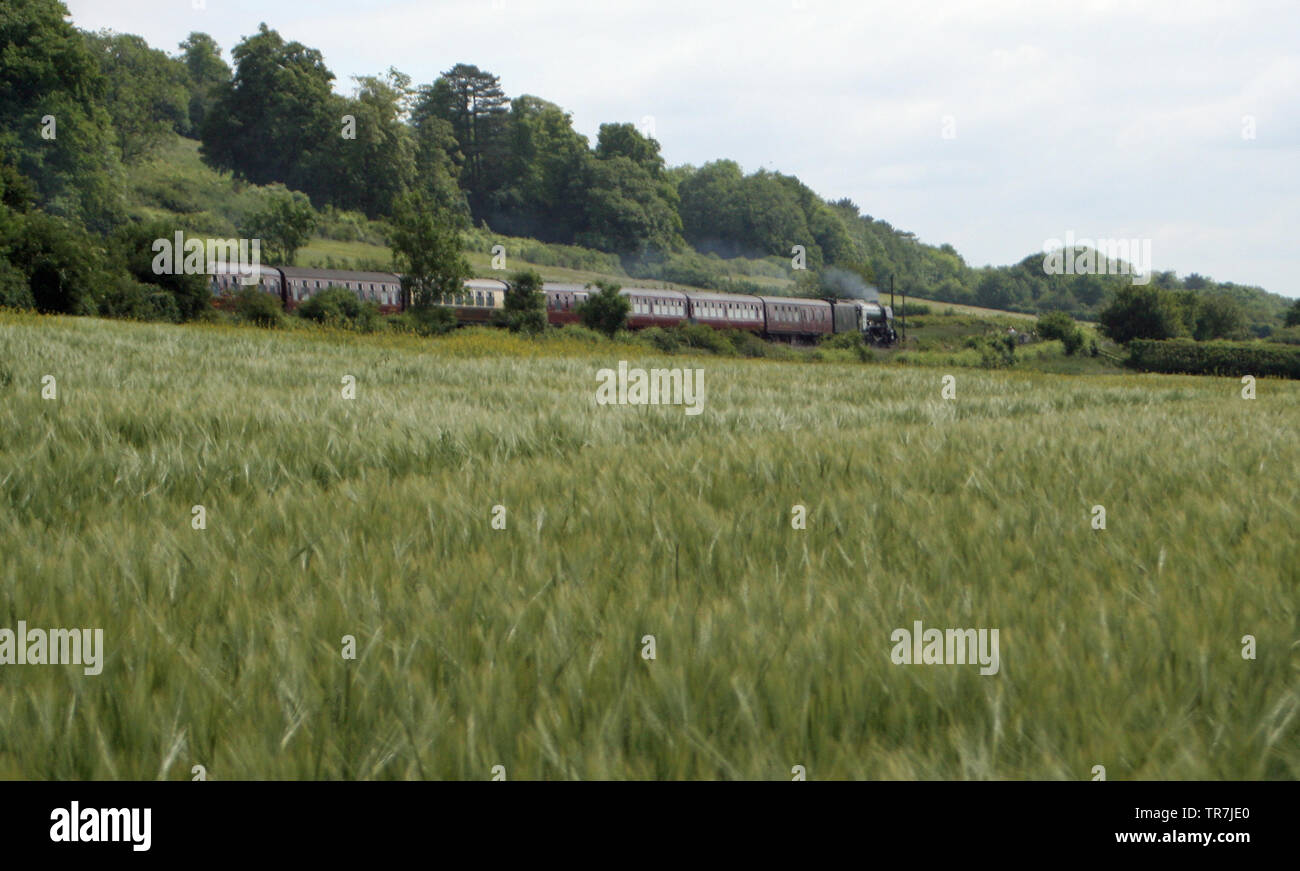 Tren me avull hi-res stock photography and images - Alamy