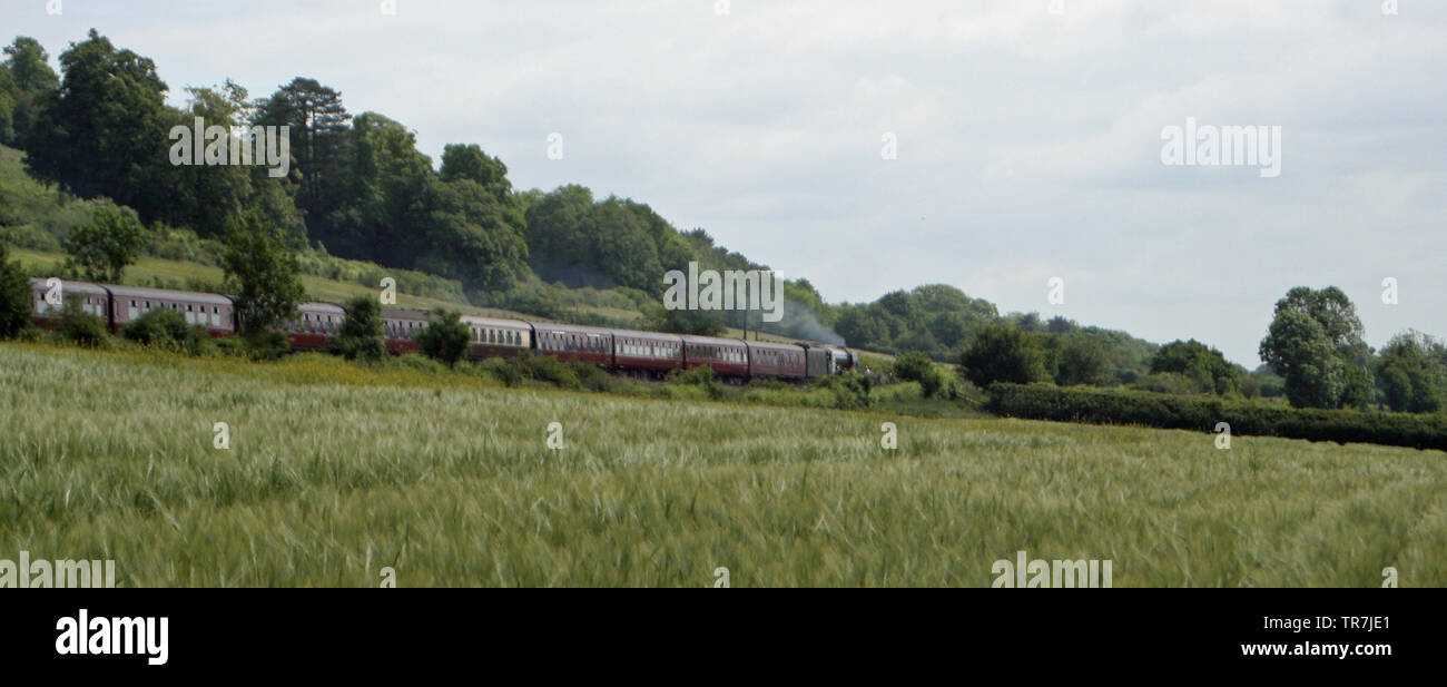 Tren me avull hi-res stock photography and images - Alamy