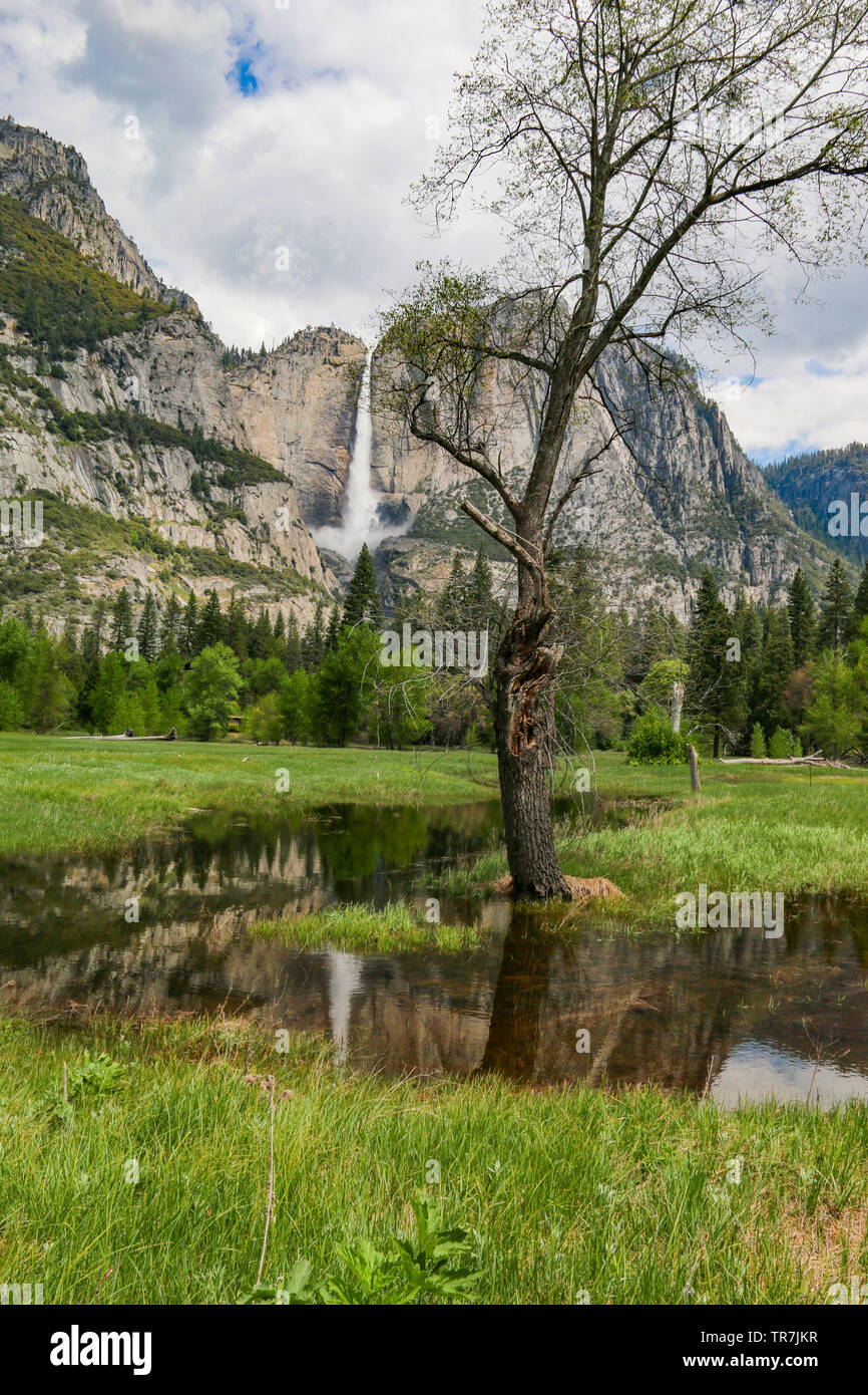 Yosemite national park waterfalls spring hi-res stock photography and ...