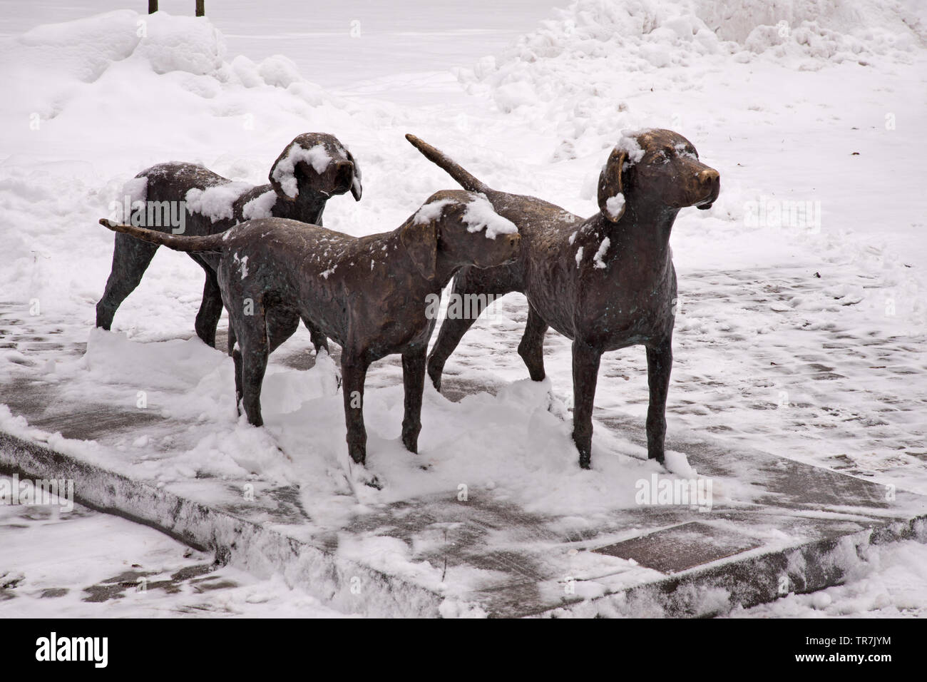 Monument to Lithuanian scent hounds Bernardine (Bernardinai) garden in ...