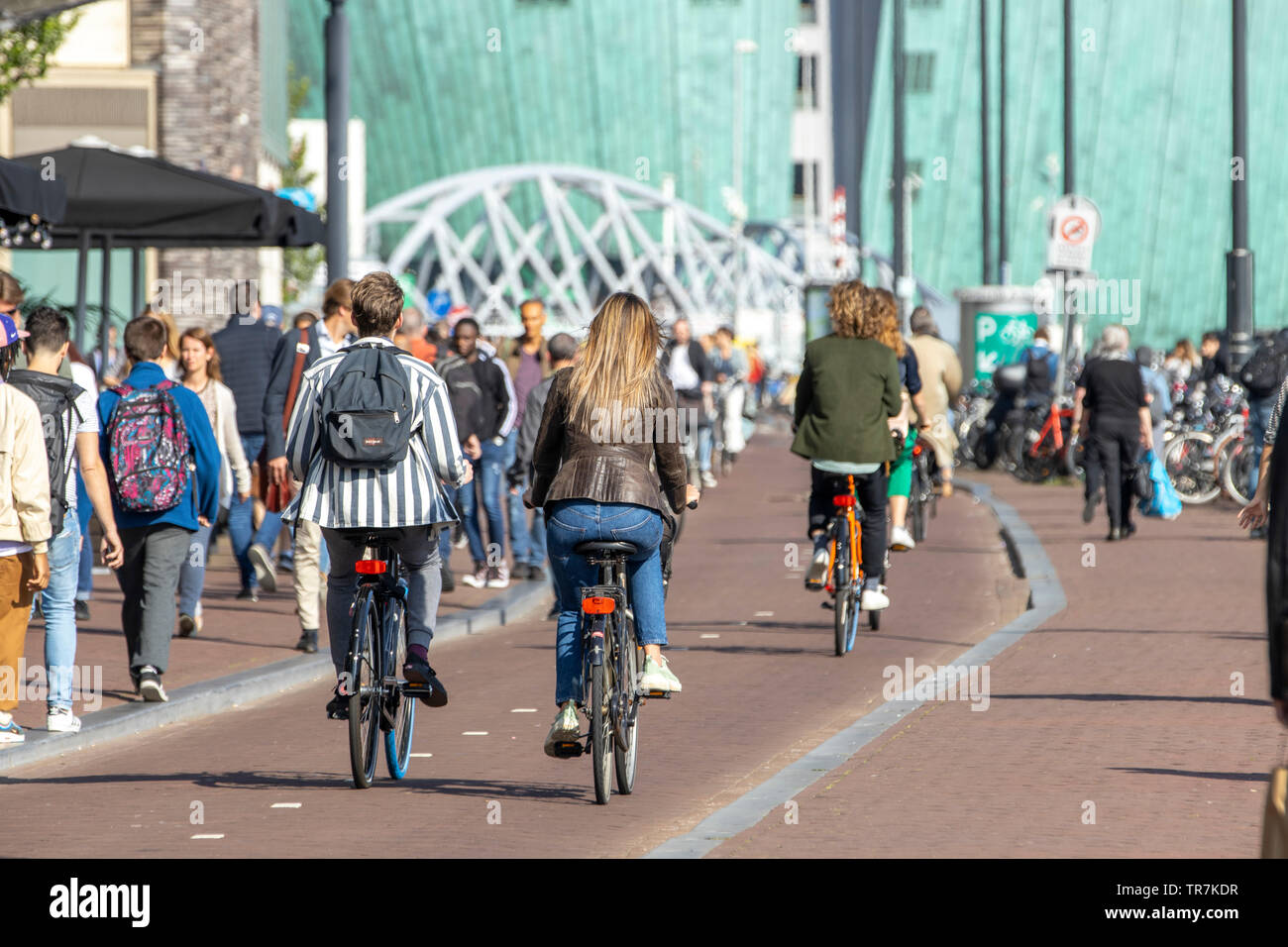 Amsterdam, Netherlands, bike path, on the Oosterdokskade, part of the ...