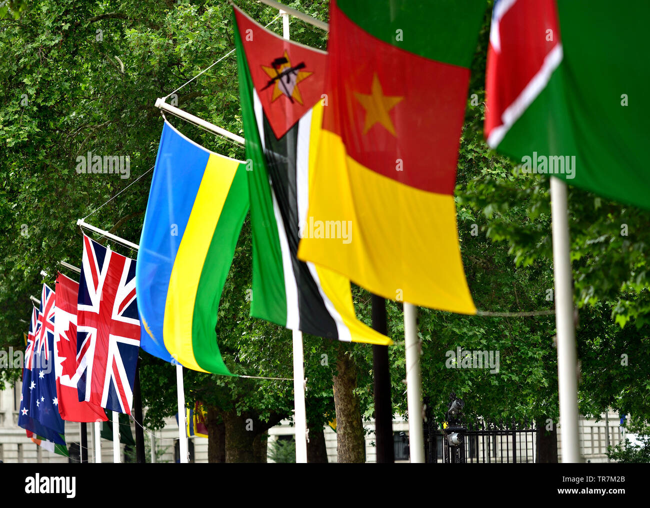 Commonwealth flags hi-res stock photography and images - Alamy