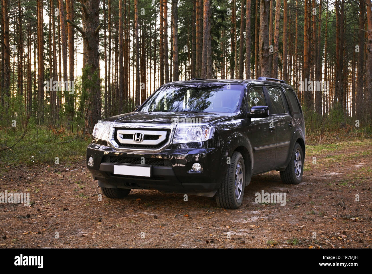 Toropets High Resolution Stock Photography and Images - Alamy