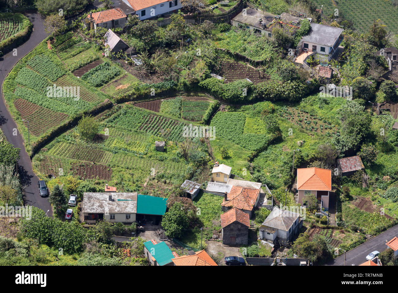 Field terrace madeira hi-res stock photography and images - Alamy