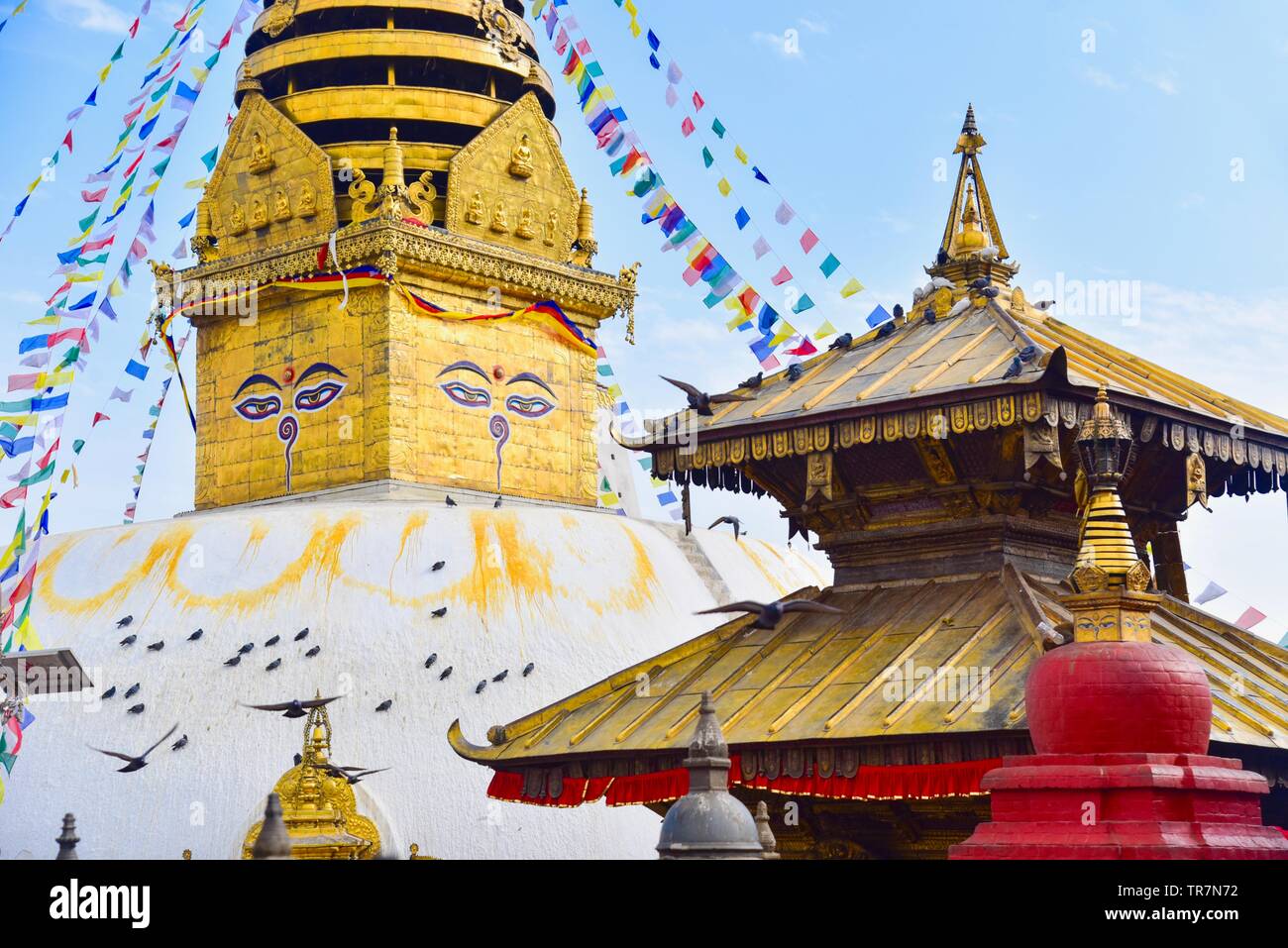 Wisdom Eyes of Buddha on Swayambhunath Pagoda in Kathmandu, Nepal Stock ...
