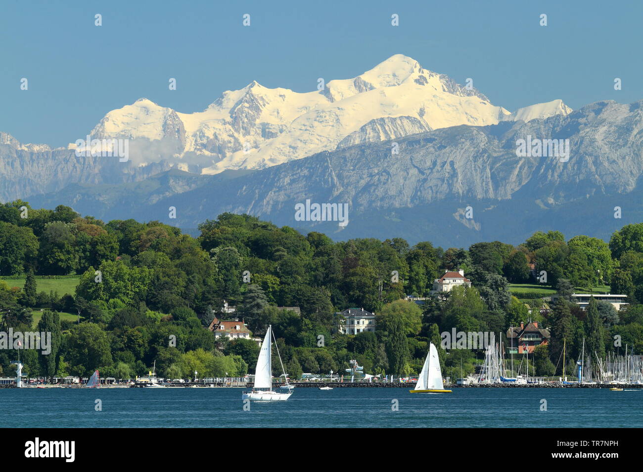 Geneva lake with Mont Blanc in the background Stock Photo - Alamy