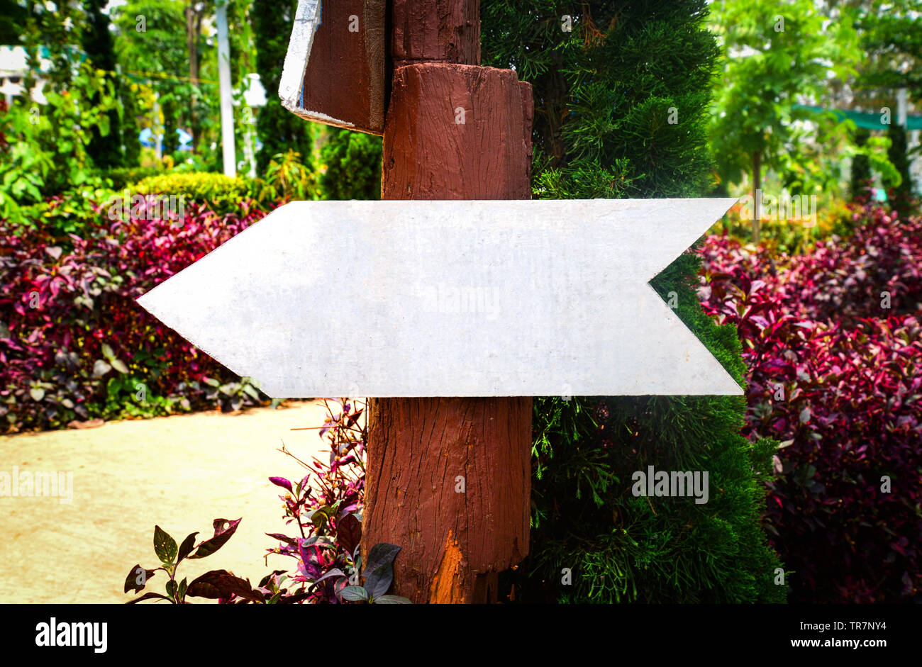 Wooden arrow signs empty white way direction signs left on signpost ...