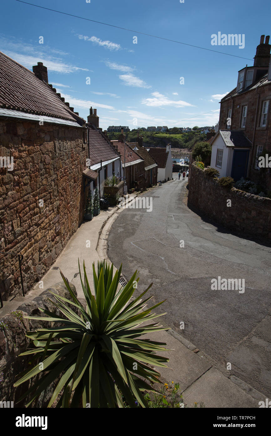 Town of Crail, Scotland. Picturesque view of residences on the cobbled ...