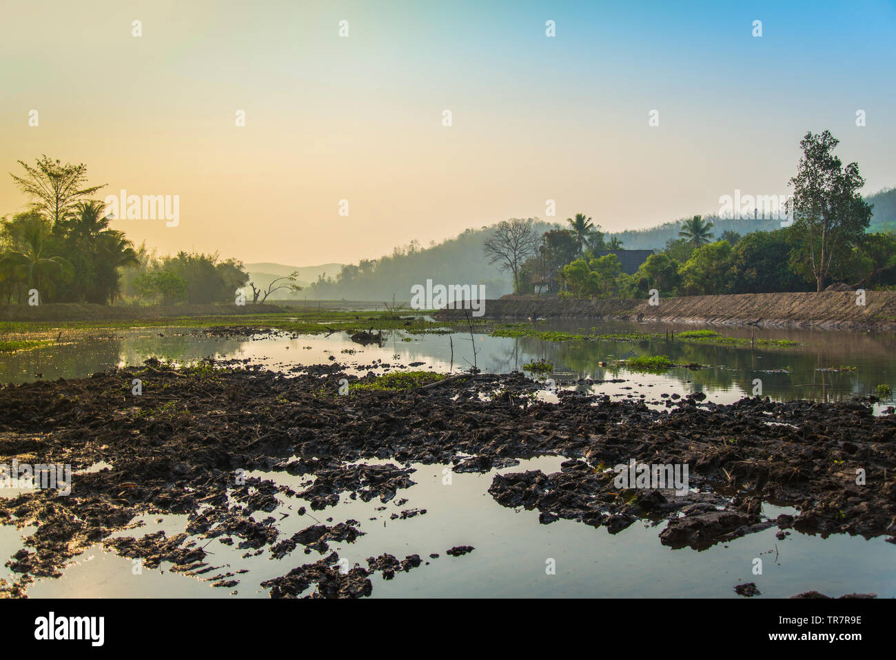 Mud river florida hi-res stock photography and images - Alamy