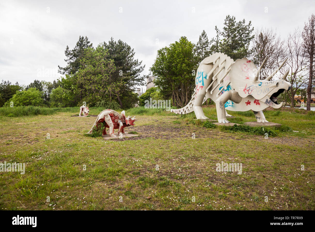 A Triceratops sculpture at Teessaurus Park,Middlesbrough,England,UK ...
