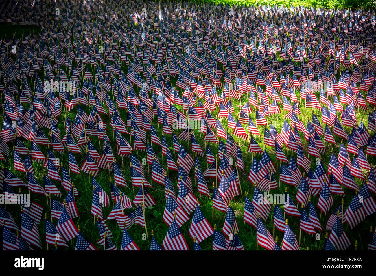 Hundreds of American flags are placed on Veteran's Lawn for Memorial ...