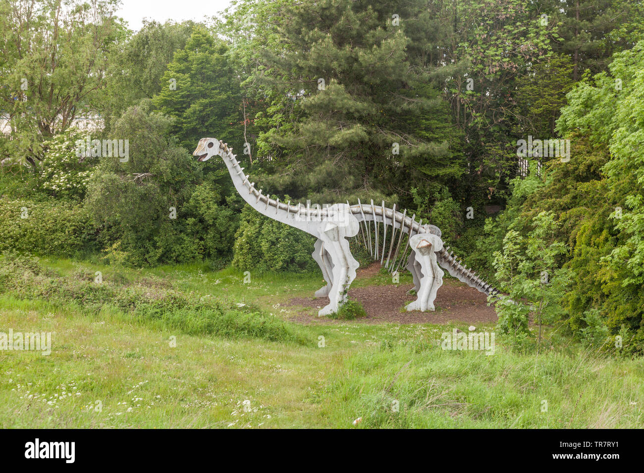 A Brontosaurus sculpture at Teessaurus Park,Middlesbrough,England,UK ...