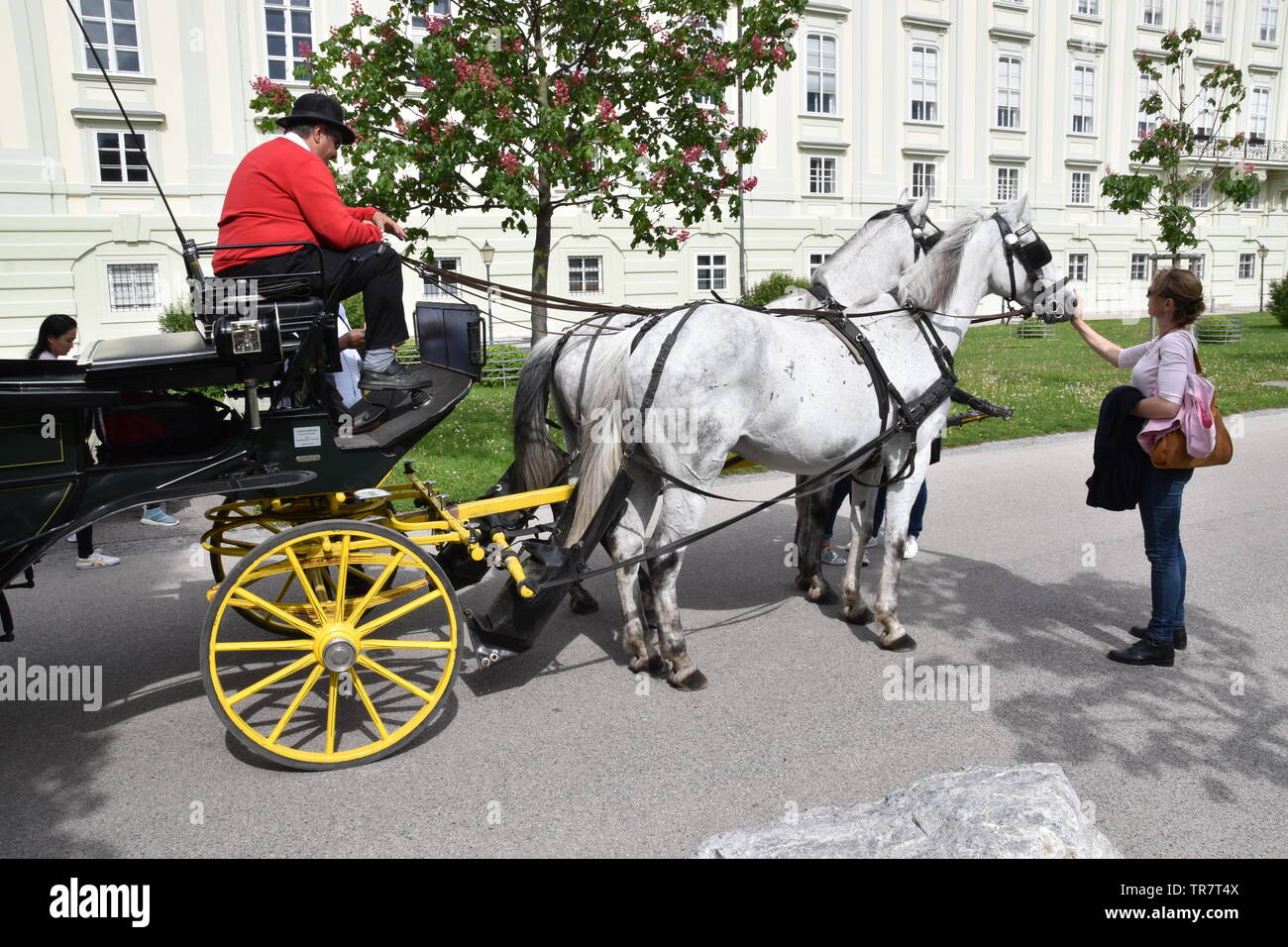 Horse & Cart. Vienna Austria.2019 Stock Photo - Alamy