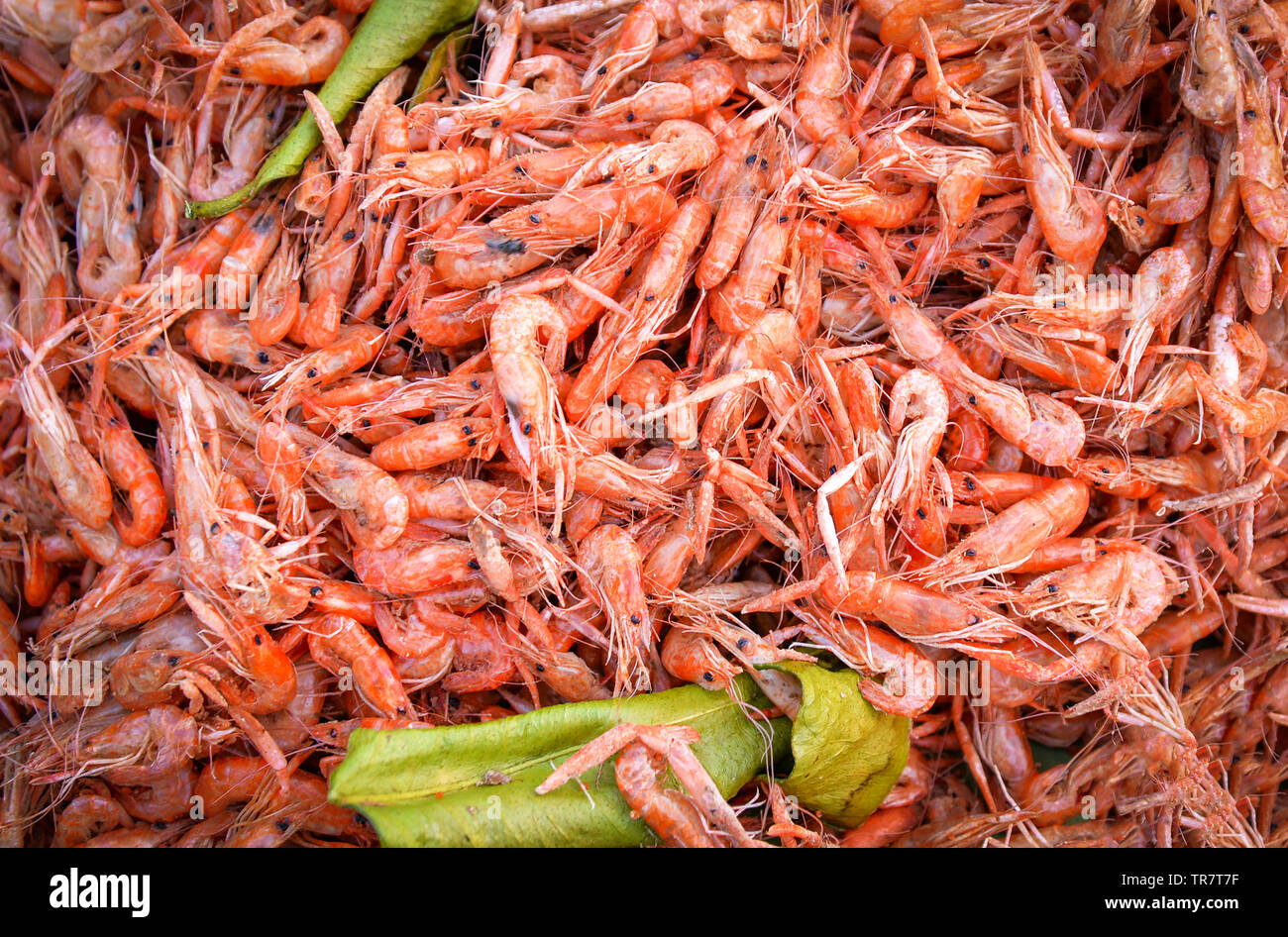 Small shrimps fried Crispy with Seasoning bergamot leaf - Freshwater ...
