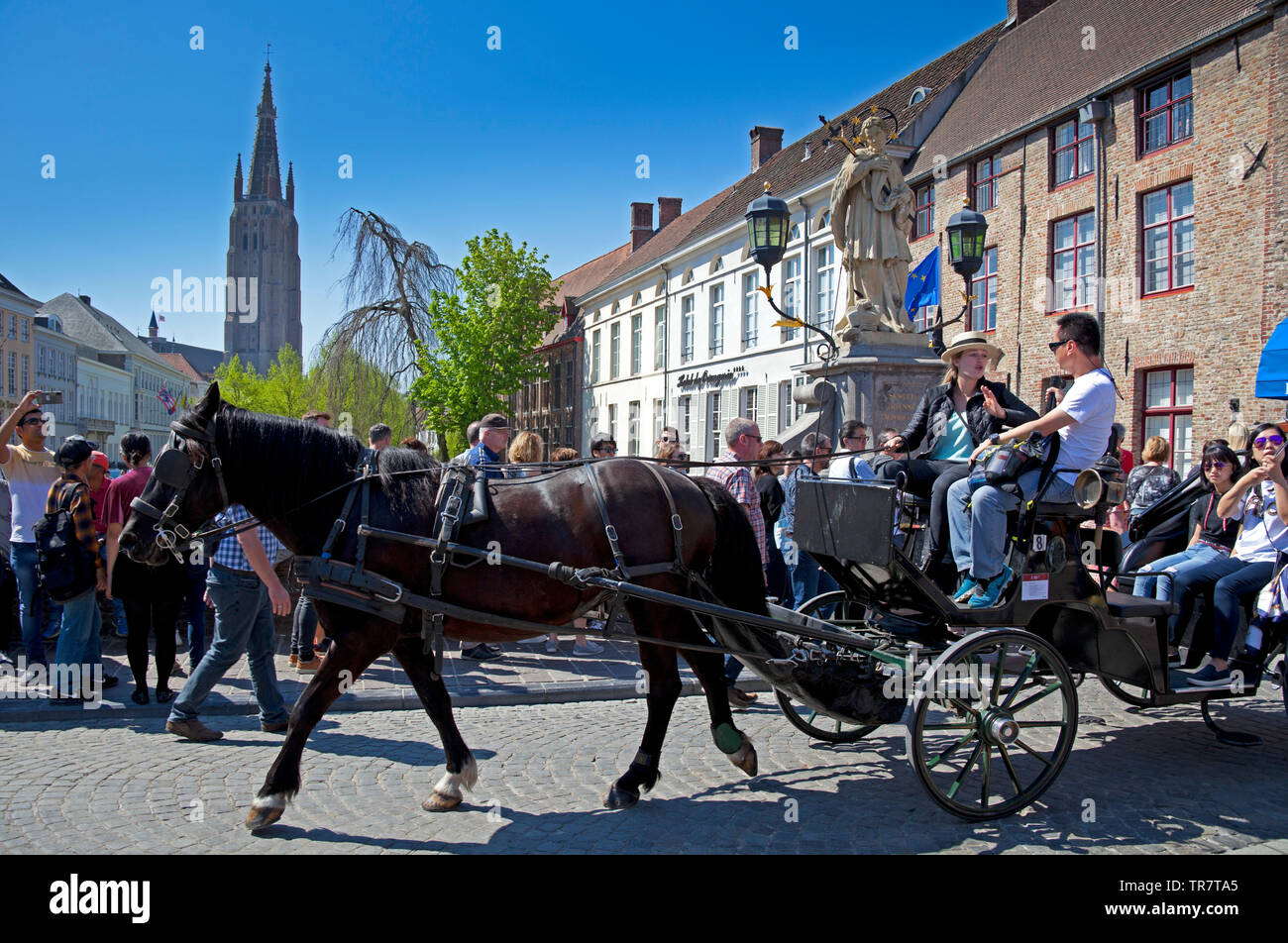 Bruges, horse and carriage sightseeing city tour, Belgium, Europe Stock ...