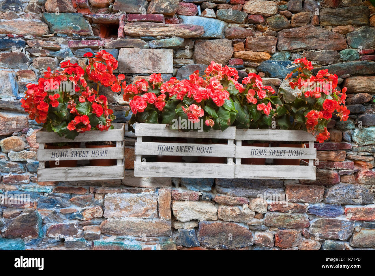 Wooden flowers boxes against an old stone wall - Home sweet home ...