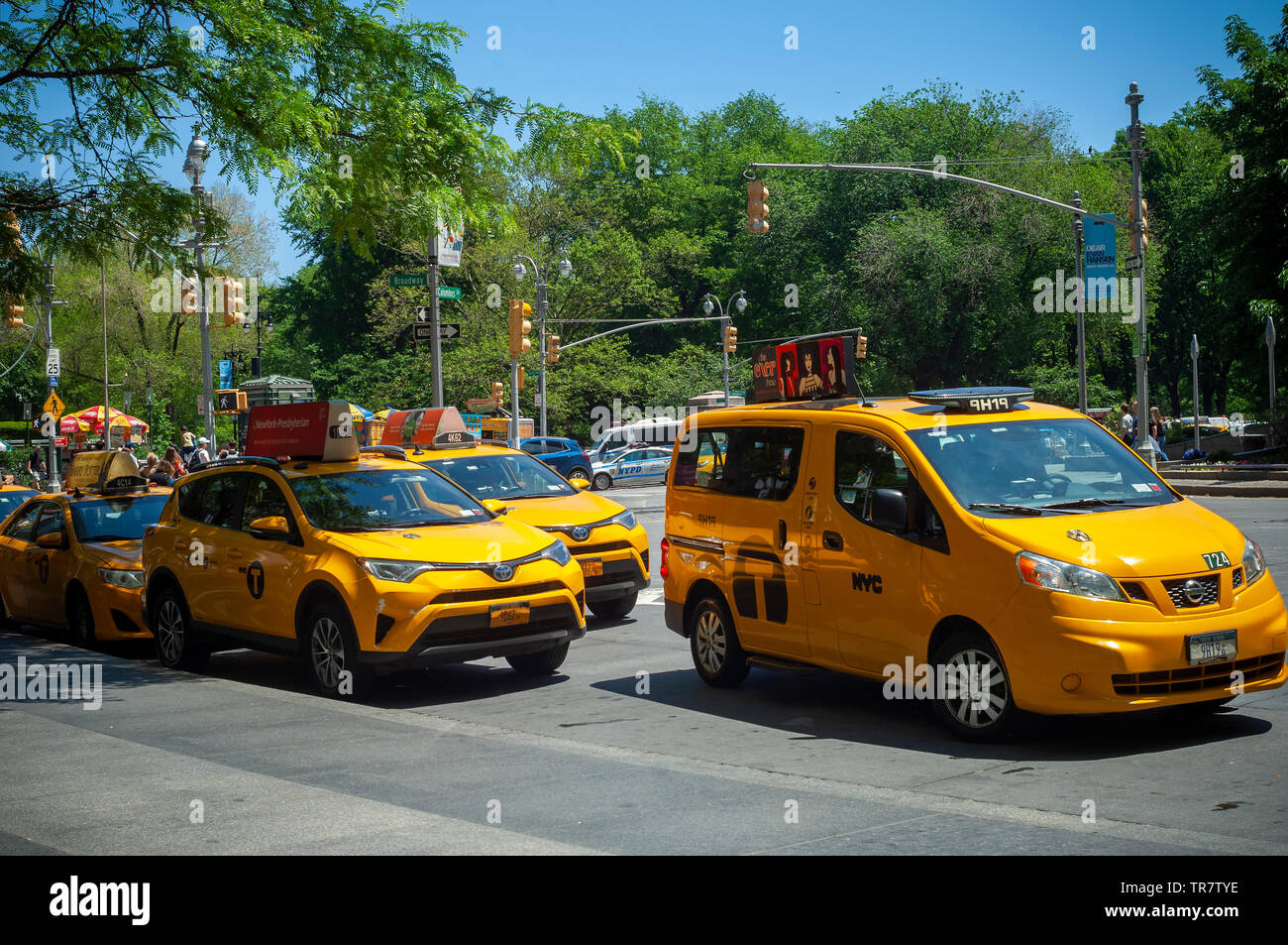 Drivers license line hi-res stock photography and images - Alamy