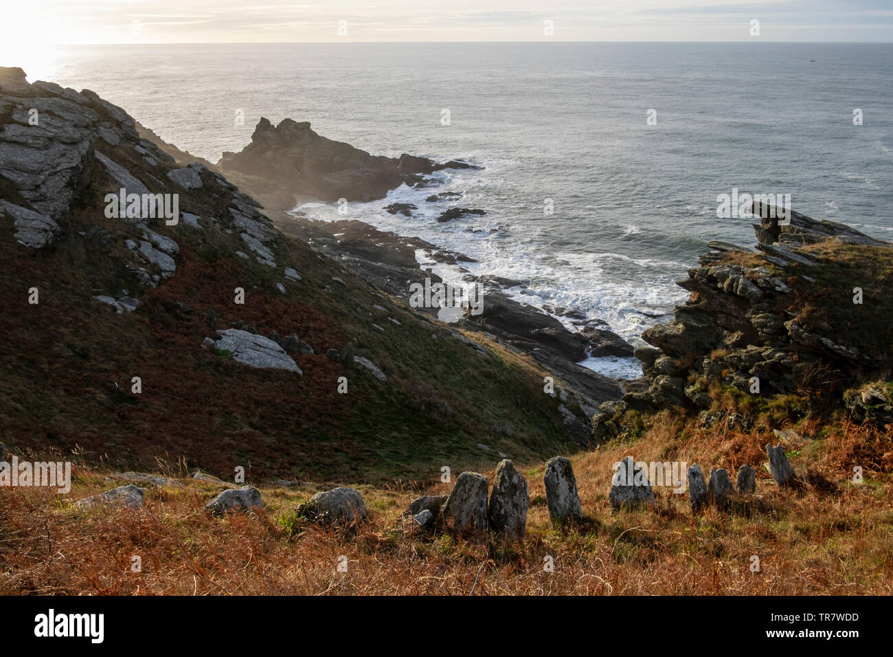 Iron age field dividers hi-res stock photography and images - Alamy