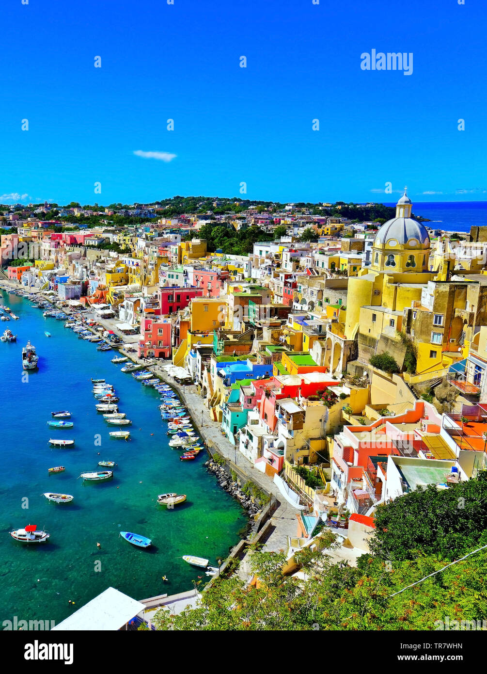View of the Port of Corricella with lots of colorful houses on a sunny ...