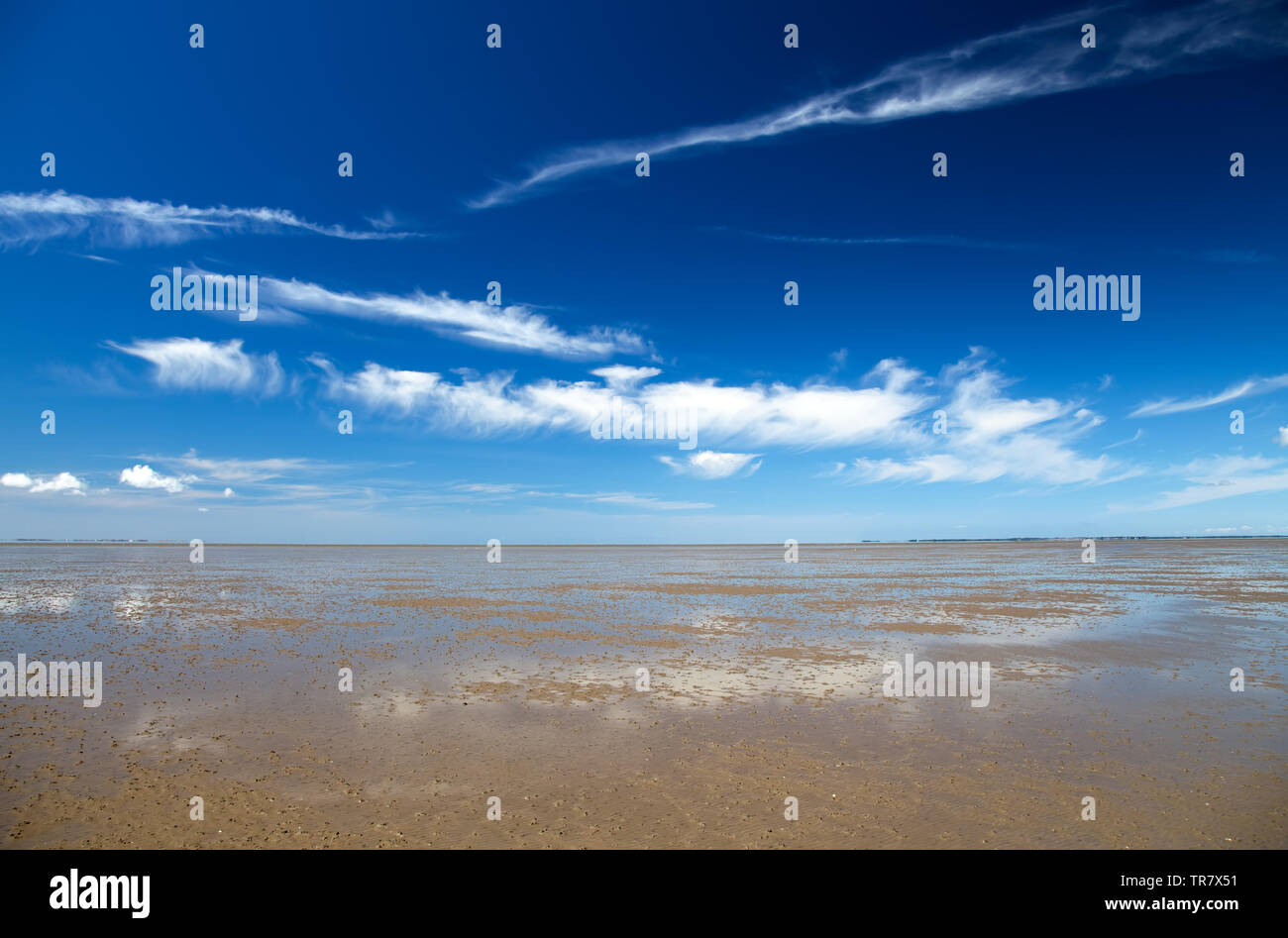 Denmark national park hi-res stock photography and images - Alamy
