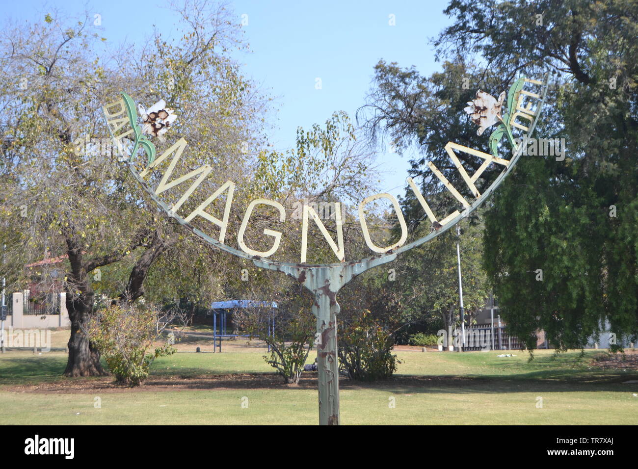 Magnolia Dell - 1 Stock Photo - Alamy