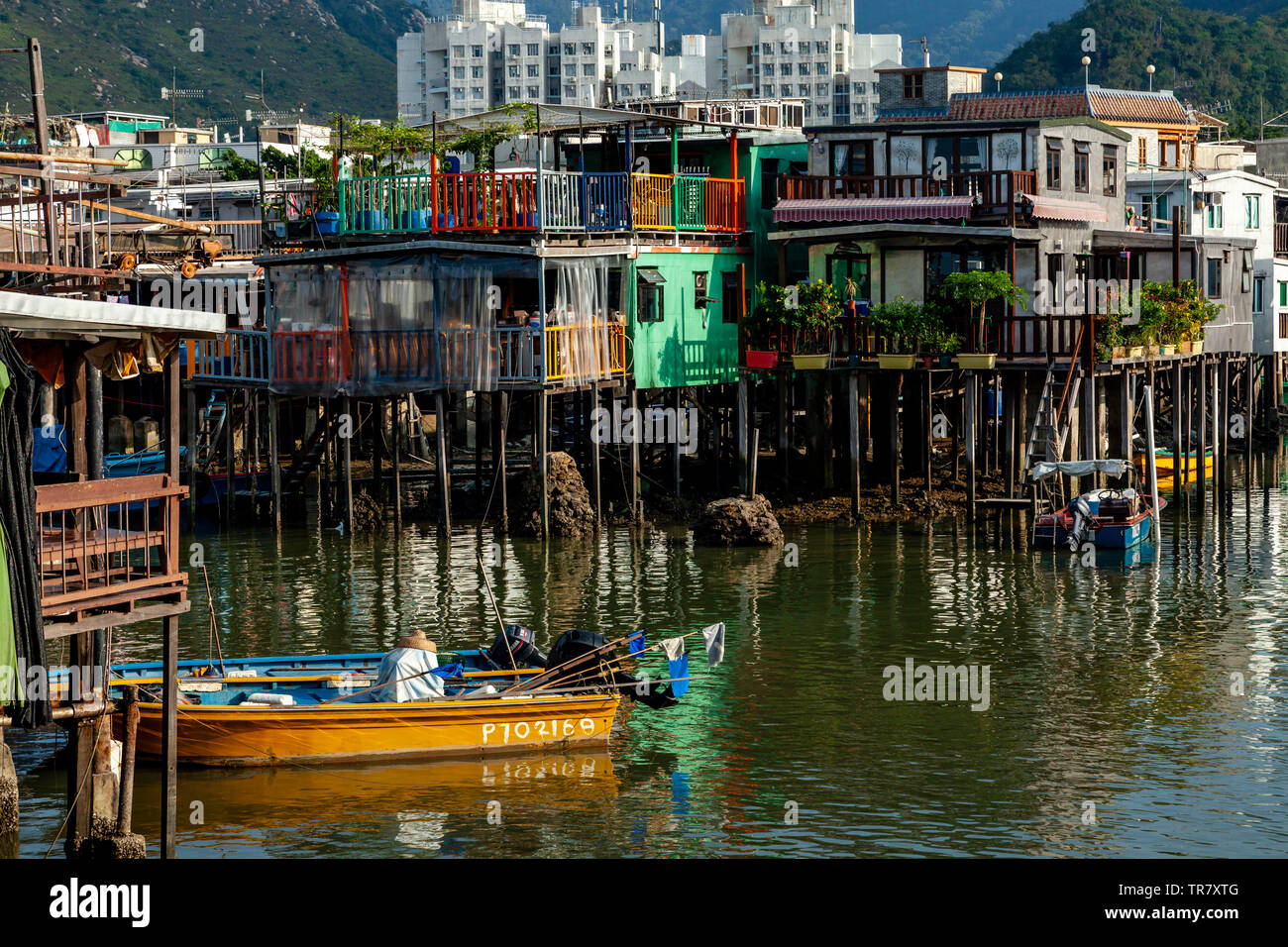 "Spring comes, and the grass grows by itself." -Laozi (Tai O, Hong Kong ...