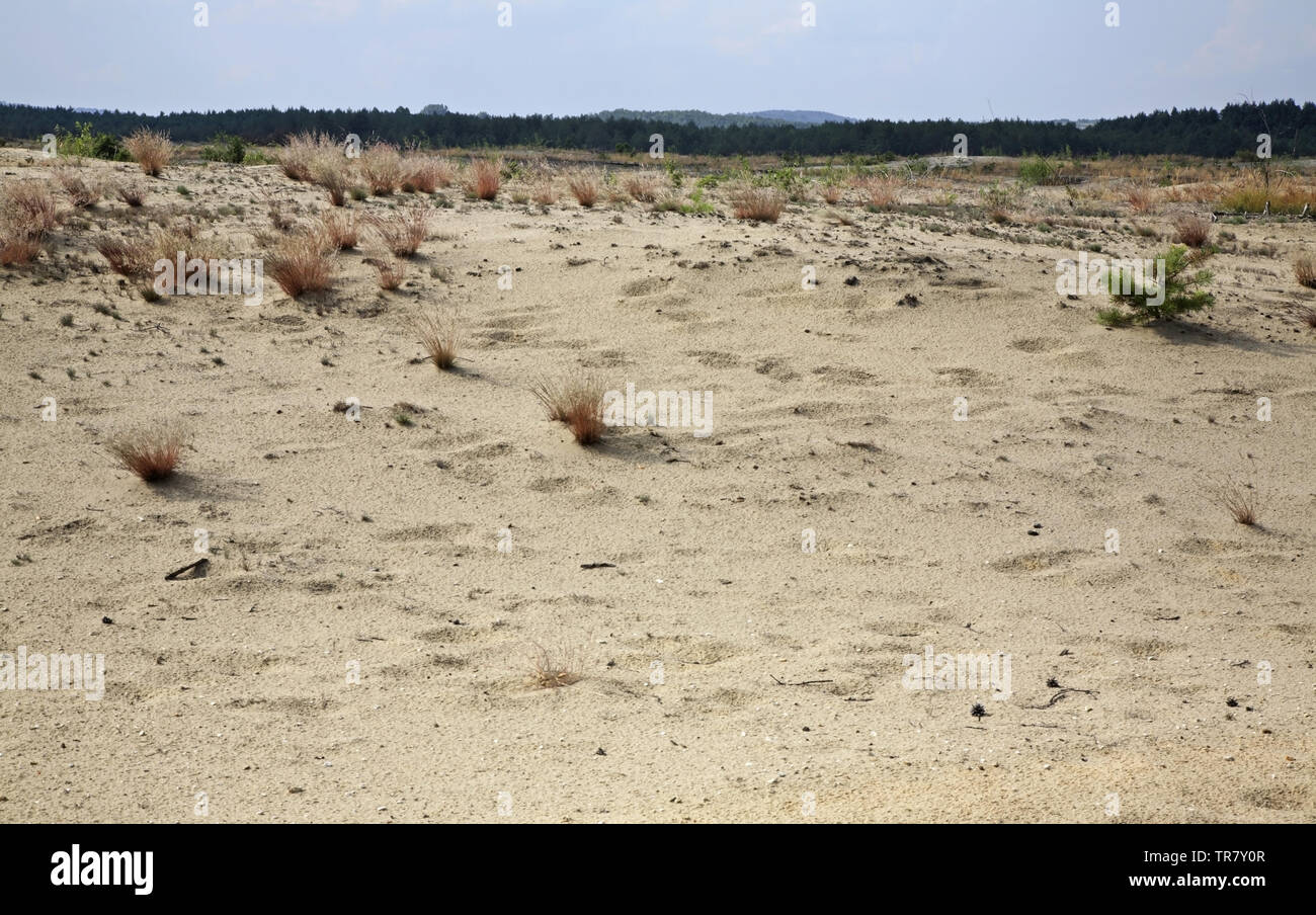 Bledow desert hi-res stock photography and images - Alamy