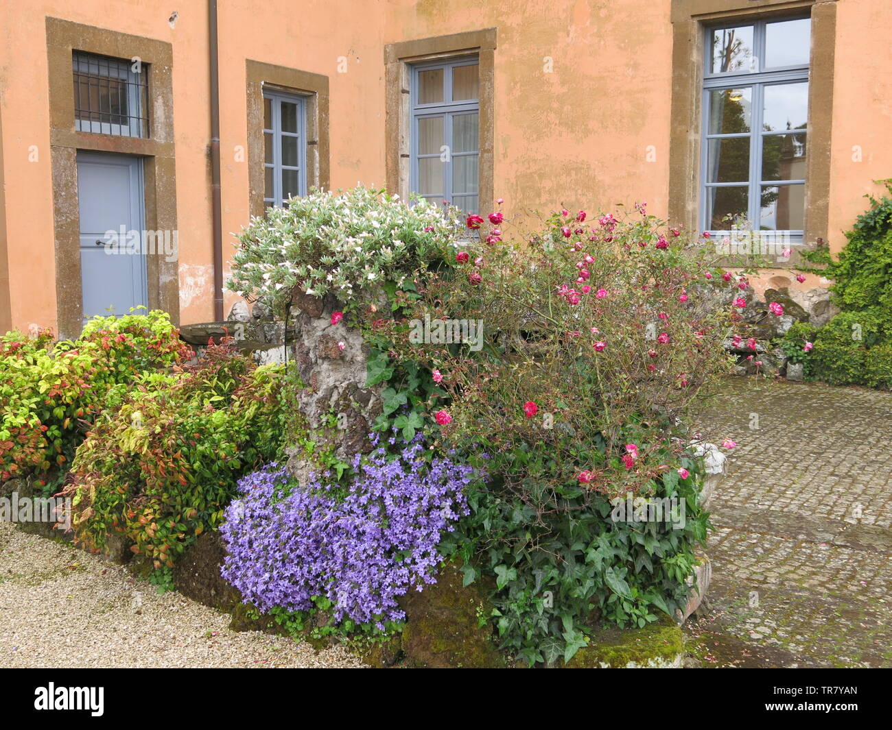 A border of flowering plants outside the Villa Mondragone, a 16th ...
