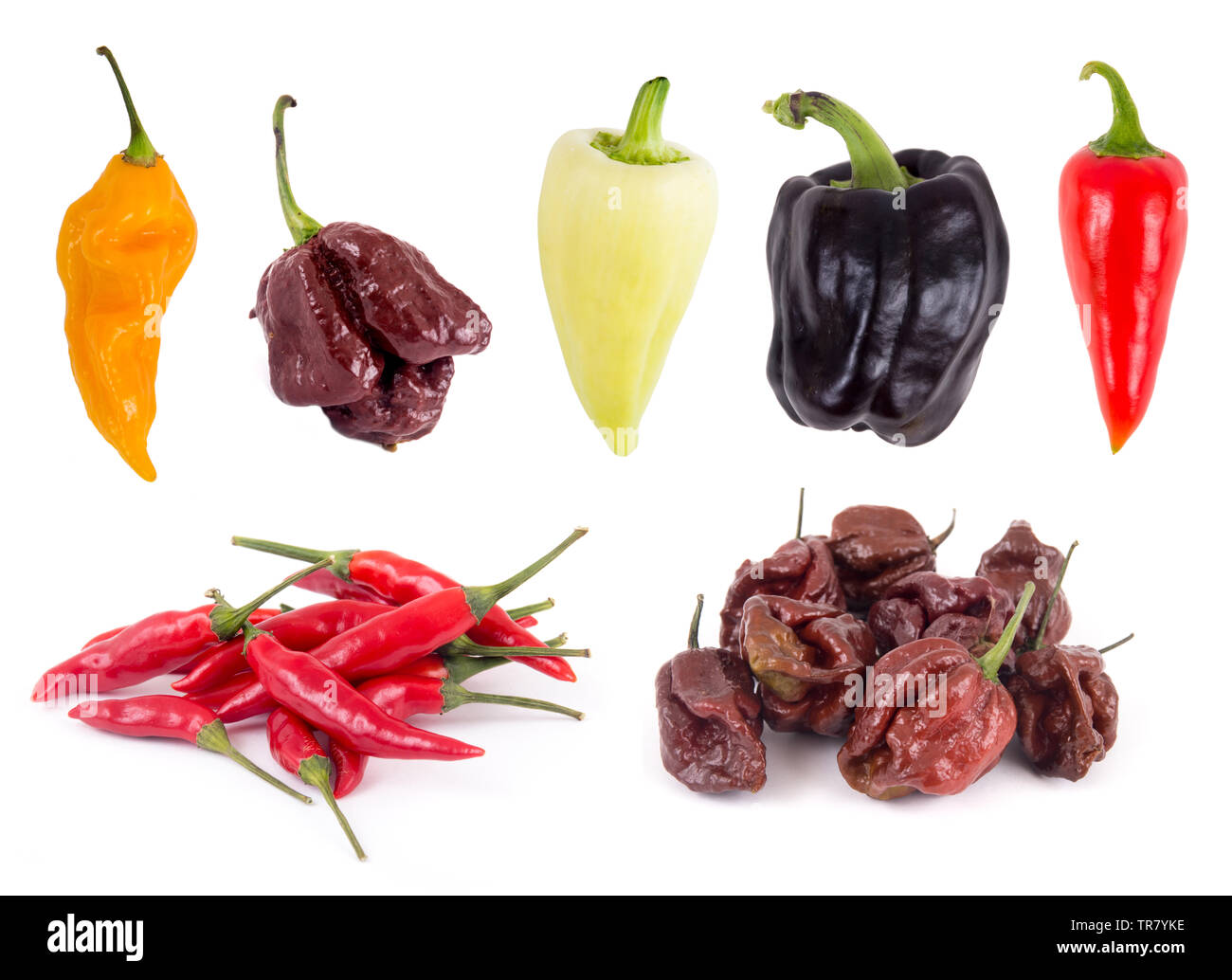 Sweet and hot pepper variety collection from left to right : Fatali ...