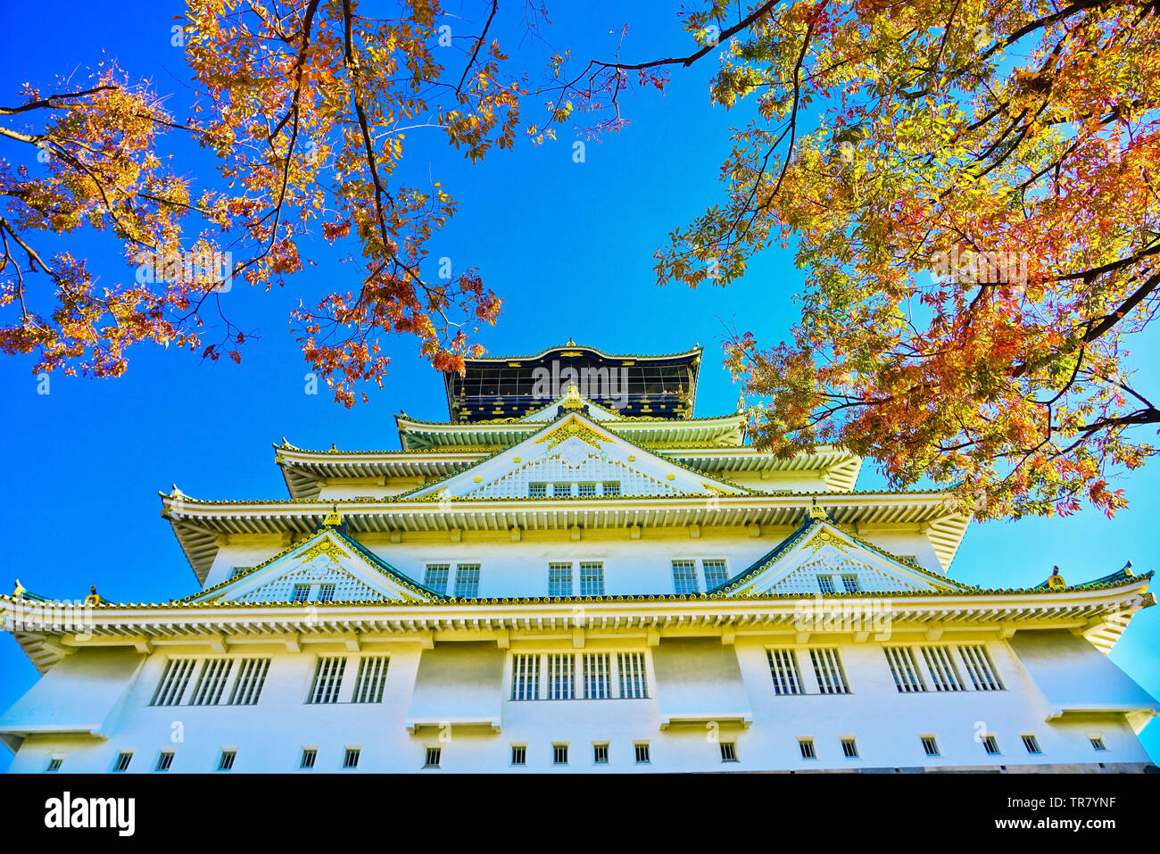 View of the Osaka Castle in autumn in Osaka, Japan Stock Photo - Alamy
