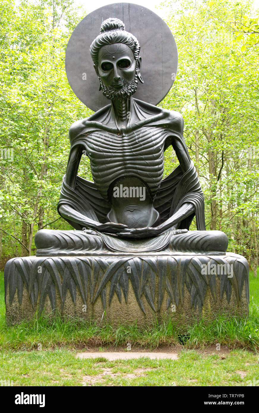 Fasting Buddha