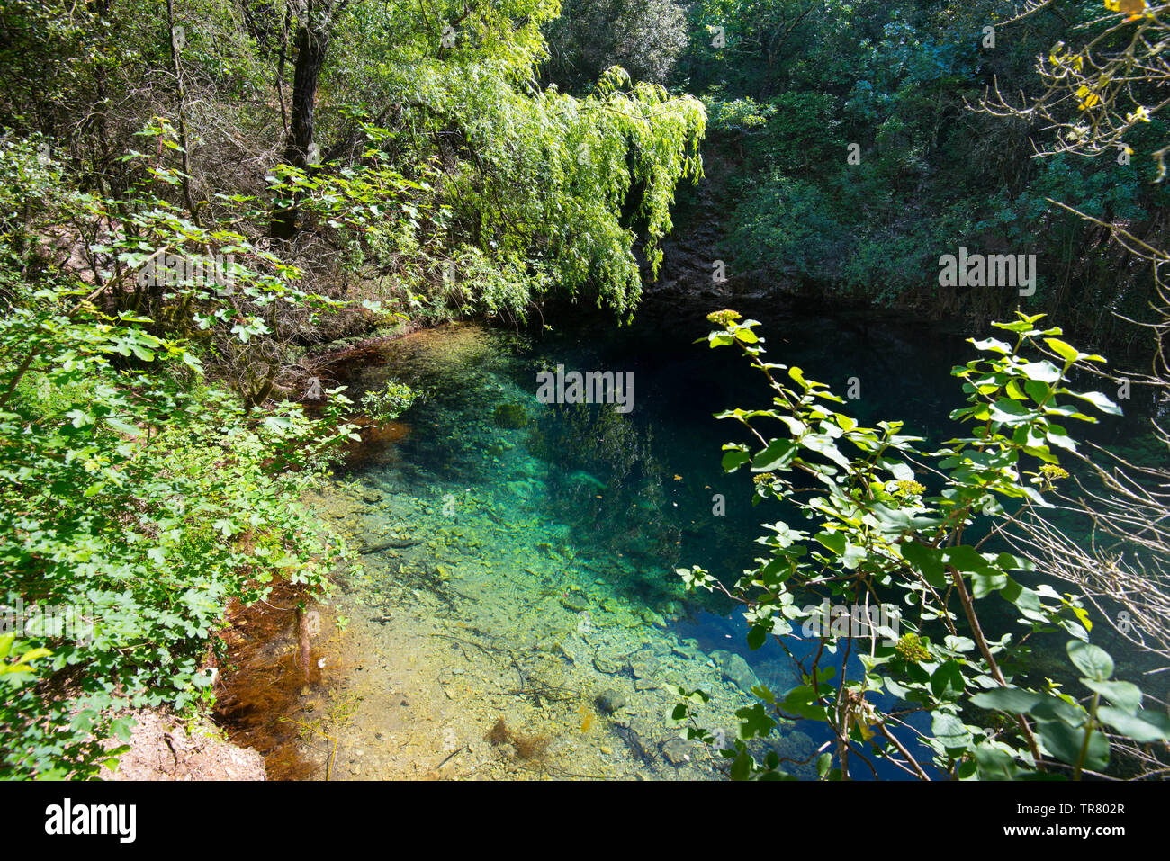the beautiful spring font vive near grospierres in the ardeche region ...