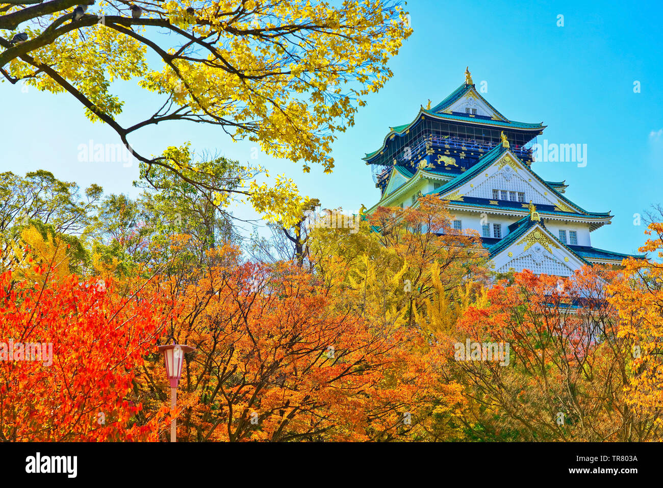 View of the Osaka Castle in autumn in Osaka, Japan Stock Photo - Alamy