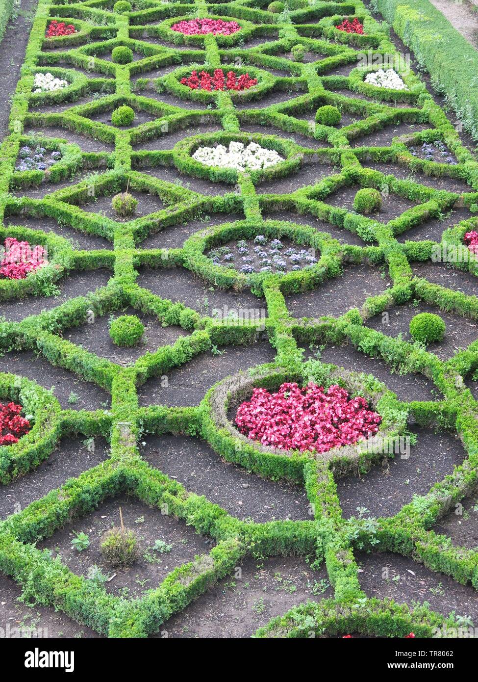 Intricate planting and geometric patterns on this parterre in one of ...