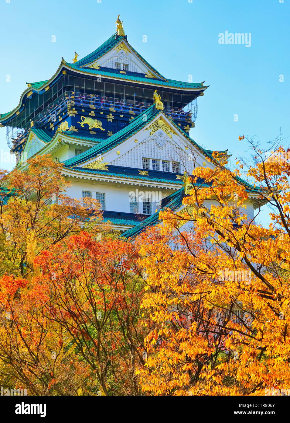 View of the Osaka Castle in autumn in Osaka, Japan Stock Photo - Alamy