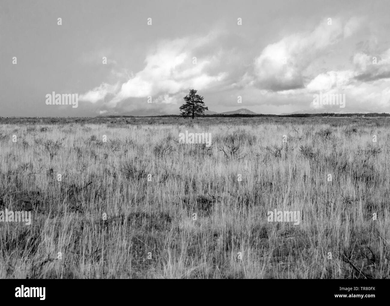 Grass range hi-res stock photography and images - Alamy
