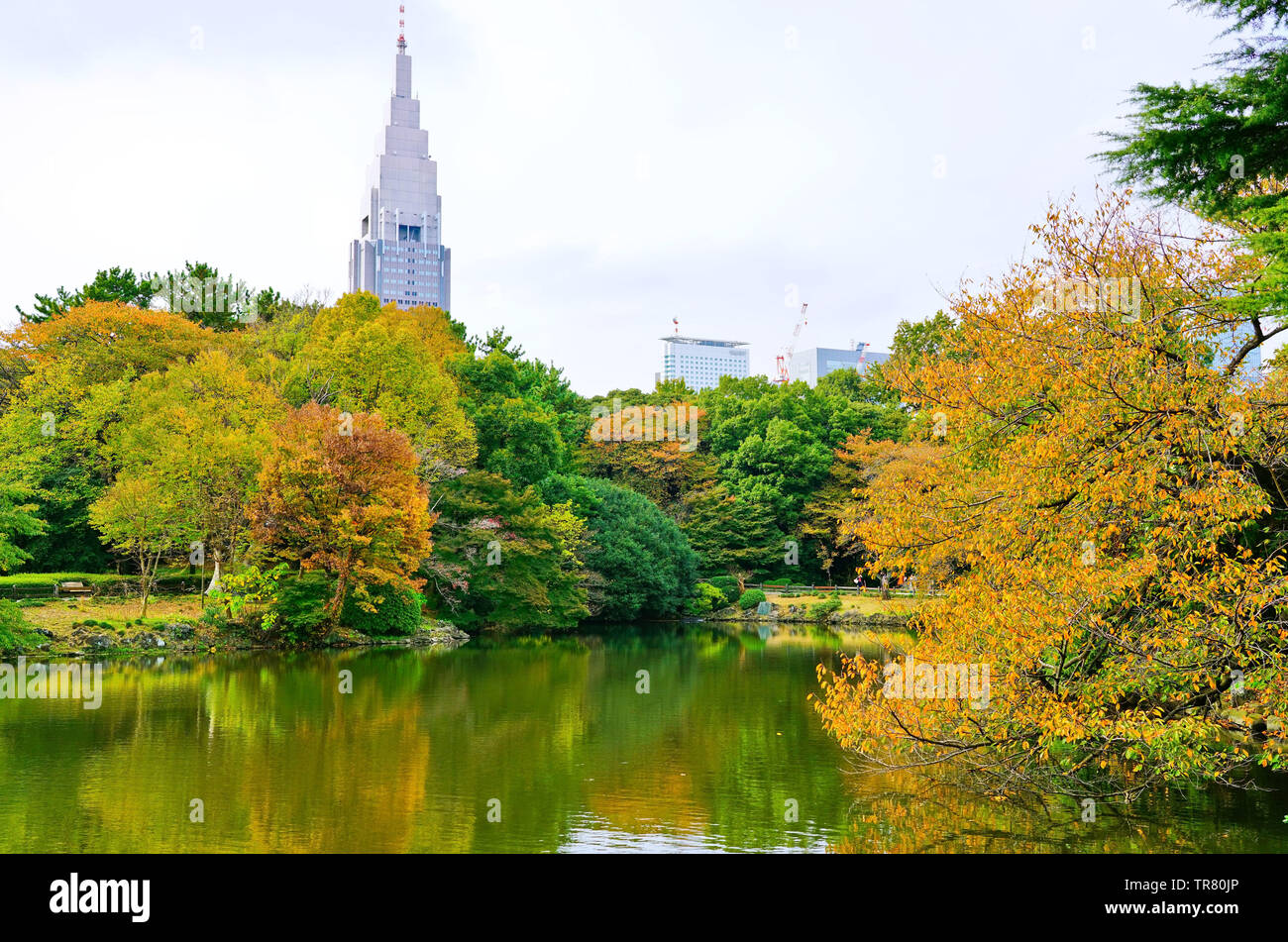 View of the beautiful garden with colorful trees in autumn at Shinjuku ...