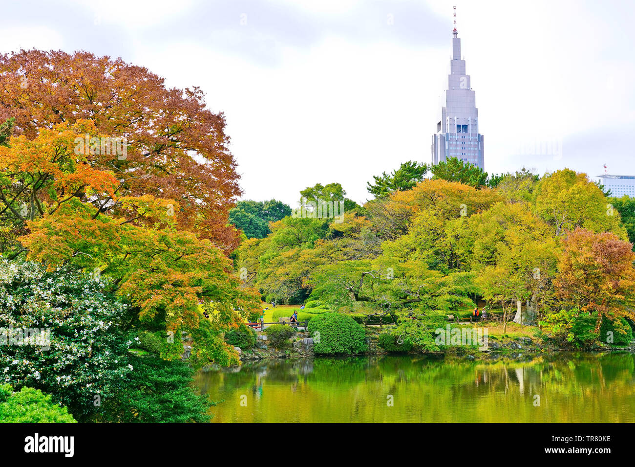 View of the beautiful garden with colorful trees in autumn at Shinjuku ...