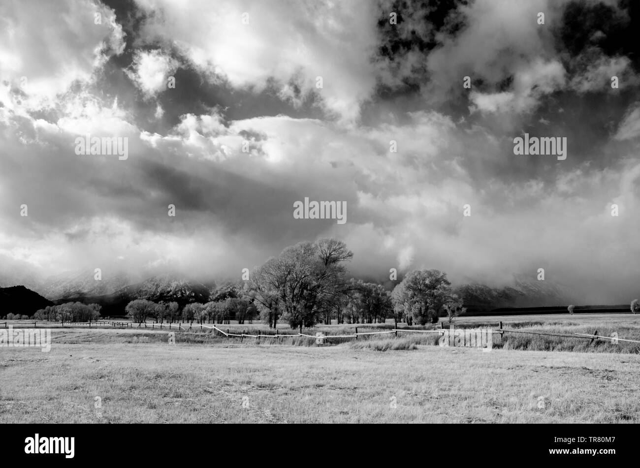 Grass range hi-res stock photography and images - Alamy