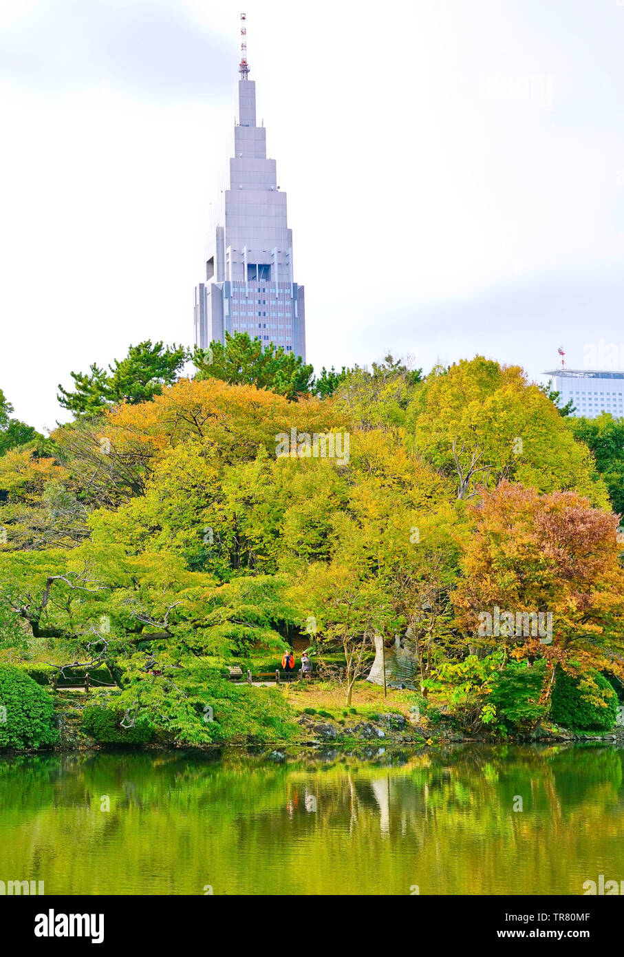 View of the beautiful garden with colorful trees in autumn at Shinjuku ...
