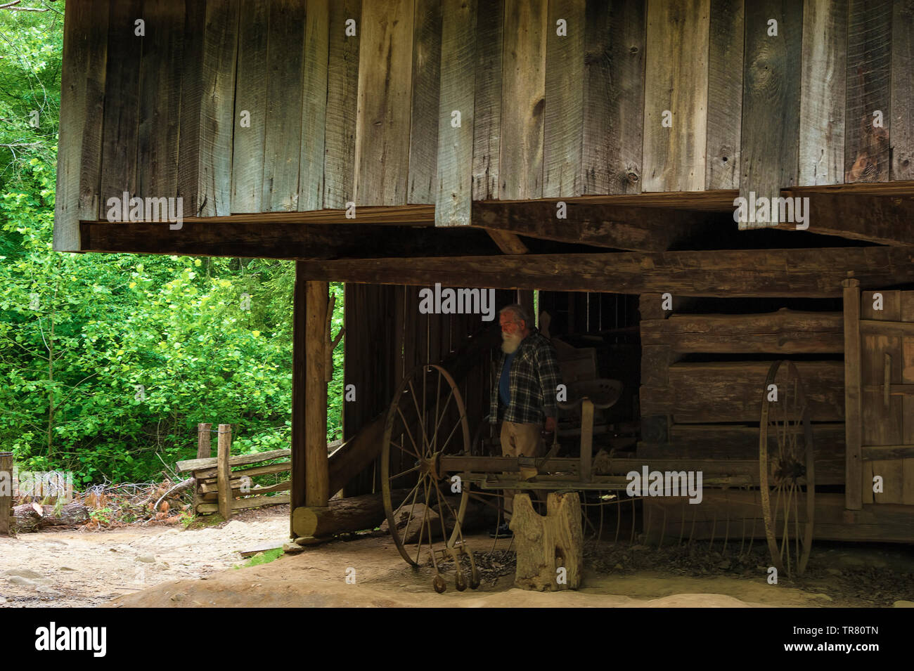 Cades Cove,Tennessee,USA - -May 15, 2019: A tourist stands under an ...