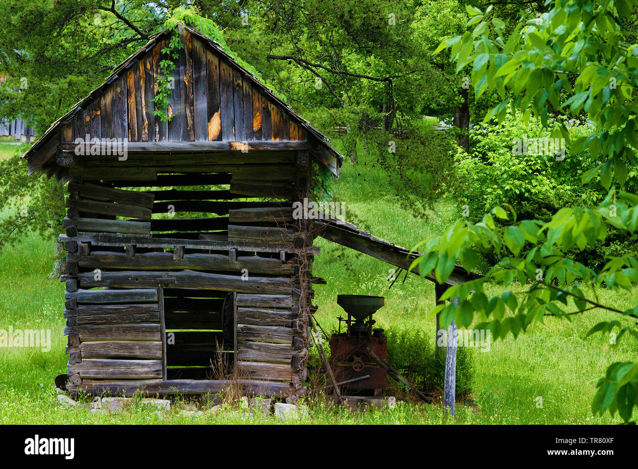 A countryside scene from road of an abandoned homestead in rural ...