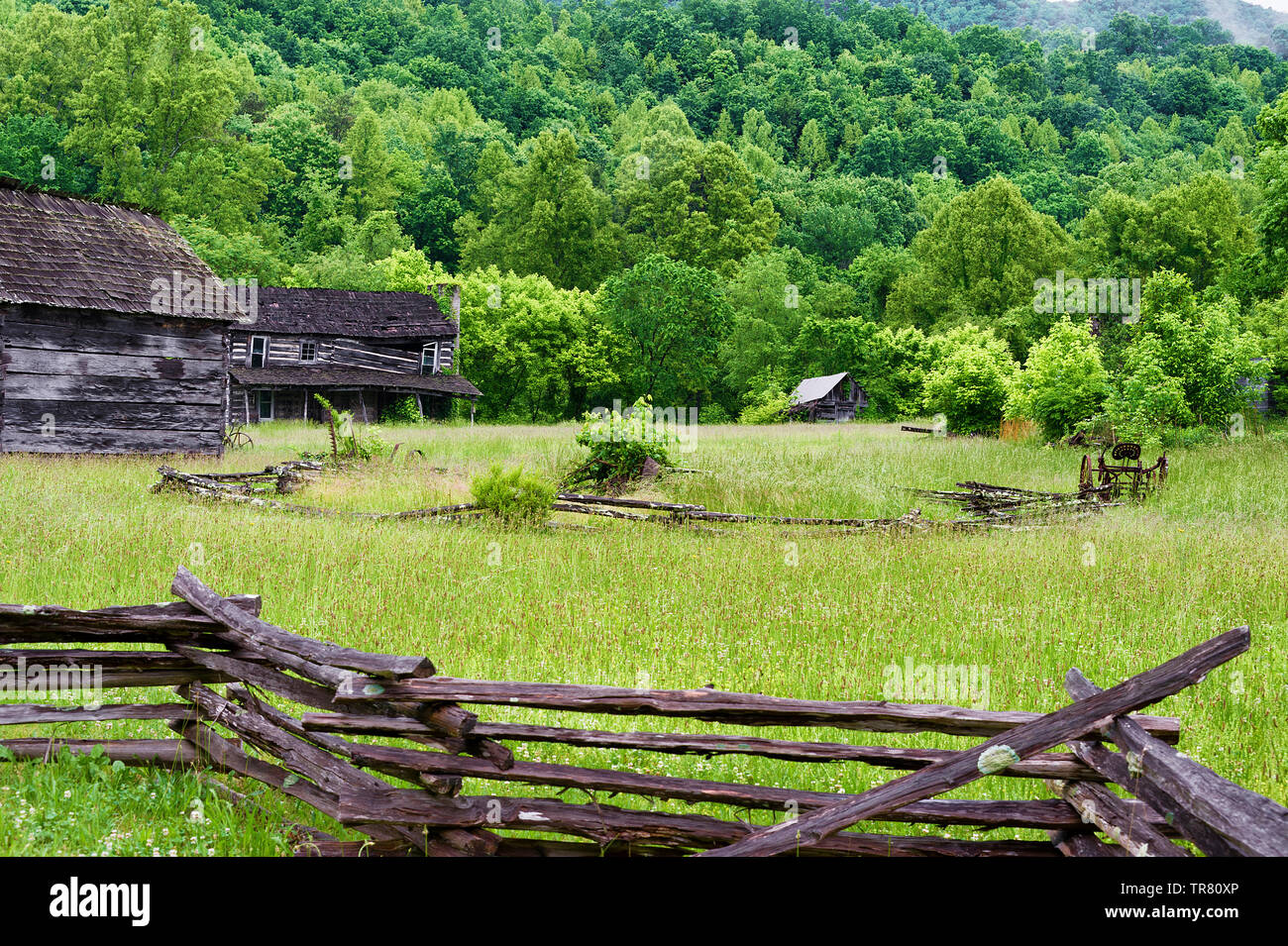 A country sdie scene from road of an abandonded homestead in rural ...