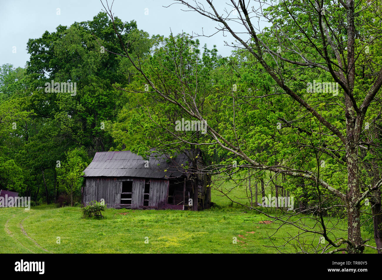 A country sdie scene from road of an abandonded homestead in rural ...