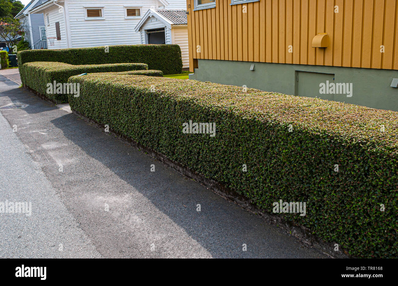 Perfectly cut hi-res stock photography and images - Alamy