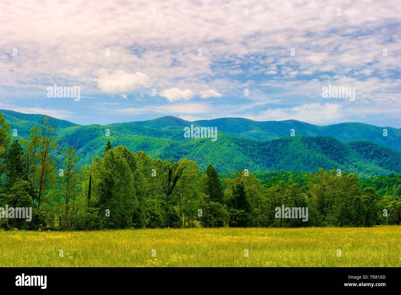 Scenic view of open medow with distant mountains under cloudy skies in ...